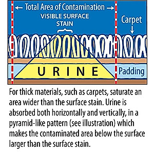 Stink Free Instantly Urine Odor Remover & Eliminator for Cat Urine, Oxidizer Based Urine Cleaner for Carpets, Rugs, Mattress, etc. 128 Oz (1 Gallon)
