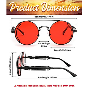 FEISEDY Sunglasses Steampunk Mens Women Aviators Retro Round Sunglasses Metal Frame Fishing Driving Hippie Glasses B2351