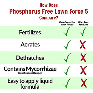 Nature’s Lawn & Garden – Lawn Force 5 Phosphorus Free – Liquid Lawn Fertilizer, Aerator, Dethatcher, with Humic & Fulvic Acid, Kelp Seaweed, and Mycorrhizae – Quart with Hose End Sprayer Attachment