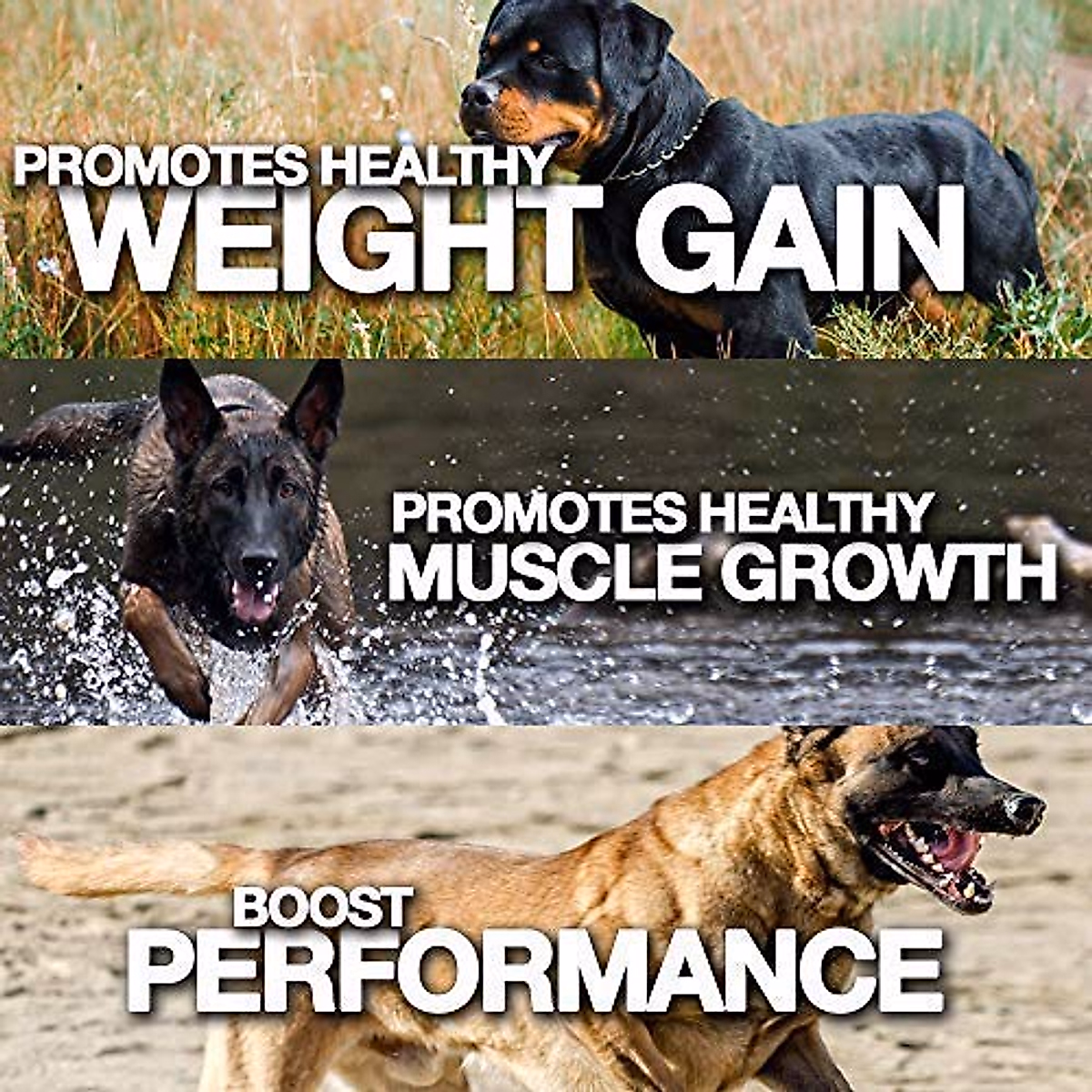 MVP K9 Formula Mass Weight Gainer for Dogs - Helps Promote Healthy Weight Gain, Size and Muscle in Dogs - Great for Skinny, Underweight, Picky Eaters. All Breed Formula, Made in USA (45 Servings)