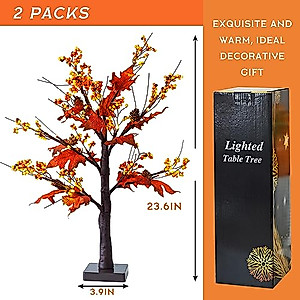 Ethlomoer 2 Pack 24 Inch Artificial Fall Maple Tree, Prelit 48 LEDs for Thanksgiving Decorations Fall Decor, Battery Operated with Timer, Lighted Autumn Tabletop Tree for Harvest Home Indoor Decor