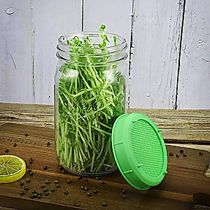 Amytalk 12 Pack Plastic Sprouting Lids for 86mm Wide Mouth Mason Jars, Sprouting Strainer Lid for Canning Jars, Suit for Grow Bean Sprouts, Alfalfa, Salad Sprouts etc