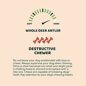 Little Loyals 100% Natural Grade A Premium Whole Deer Antler Chew for Dogs | Long-Lasting Dental Health Treat | Ideal for Aggressive Chewers Dog Breeds Small