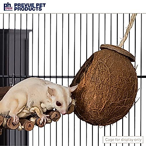 Prevue Hendryx 62801 Naturals Coco Hideaway with Ladder Bird Toy,1 Count (Pack of 1)