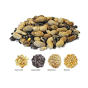 Backyard Seeds Squirrel & Friends Wildlife Chipmunk Food Mix 8 Pounds