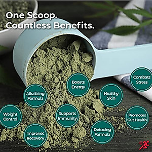 Power Greens, Superfoods Greens Powder, Super Greens, Improve Energy, Recovery and Performance, Probiotics & Digestive Support, Berry Flavor, 30 Servings