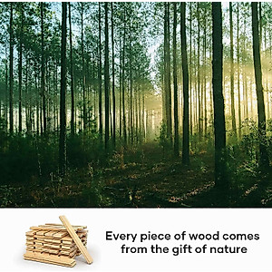 EaseLife 36in x 84in Sliding Barn Wood Door,Interior Doors,DIY Assemblely,Solid Natural Spruce Panelled Slab,Easy Install,Apply to Rooms & Storage Closet,H-Frame