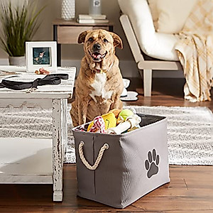 Bone Dry Pet Storage Collection Collapsible Bin, Medium Rectangle, Gray
