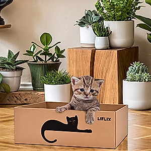 LIFLIX Cardboard Cat Scratcher with Box, 5PCS Reversible Cat Scratch Pads in Large Cat Scratcher Box, Cat Scratcher Lounge for Indoor Cats to Rest and Play, 16.5" ｘ12.6 ｘ5.9