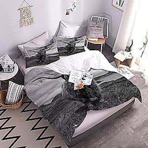 Quilt Cover Twin Size Scottish Highland Cattle 3D Bedding Sets Cow, Animal Duvet Cover Breathable Hypoallergenic Stain Wrinkle Resistant Microfiber with Zipper Closure,beding Set with 2 Pillowcase
