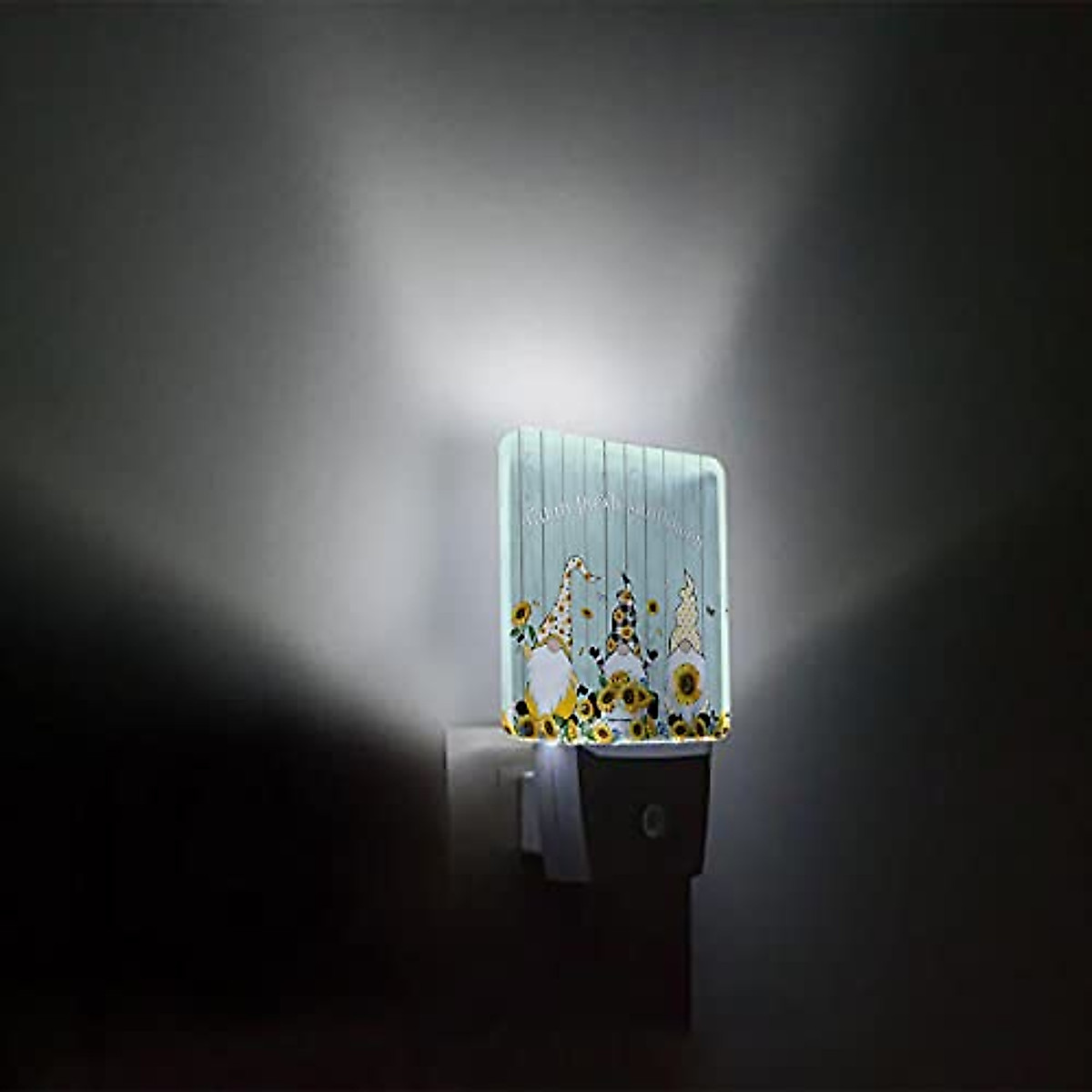 Big buy store Night Lights Auto Sensor Farm Sunflower Gnomes Plug-in LED Nightlights Dusk to Dawn for Living Room, Bedroom, Bathroom, Kitchen, Hallway, Stairways, Bee Butterfly Blue Wood Grain