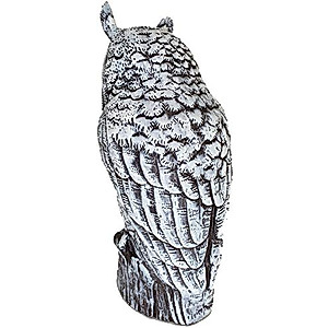Dalen Fake Owl Decoy to Scare Birds Away from Gardens, Rooftops, and Patios - Scarecrow Provides Chemical-Free Pest Control - Safe and Humane, 16" Great Horned Owl - Snow White