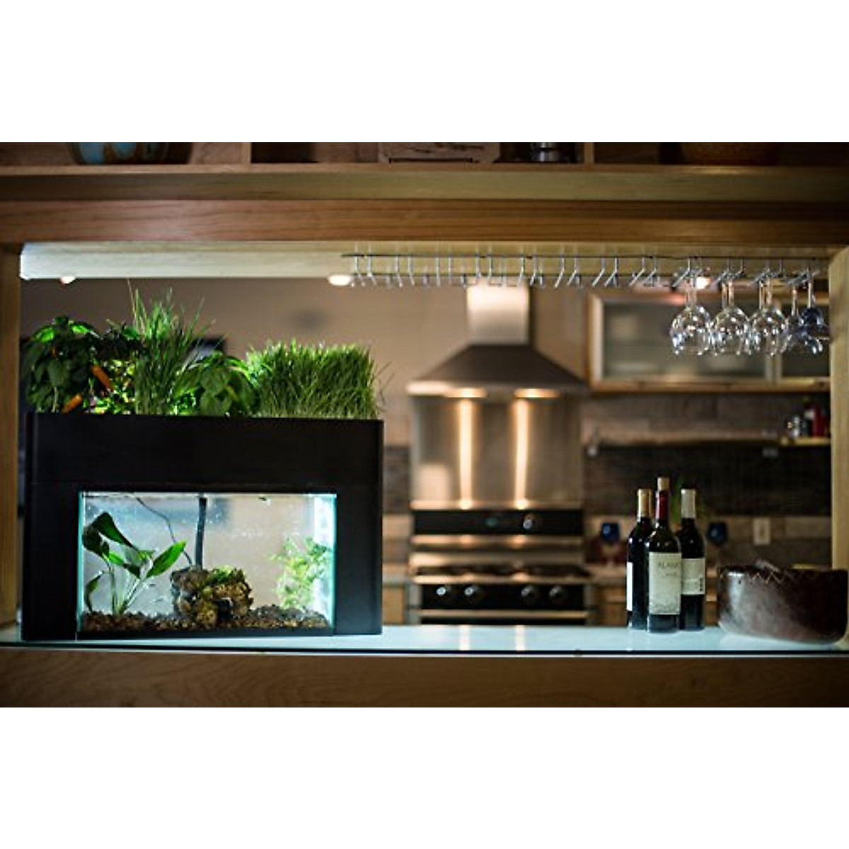 AquaSprouts Garden, Self-Sustaining Desktop Aquarium Aquaponics Ecosystem Kit, fits Standard 10 Gallon Aquariums