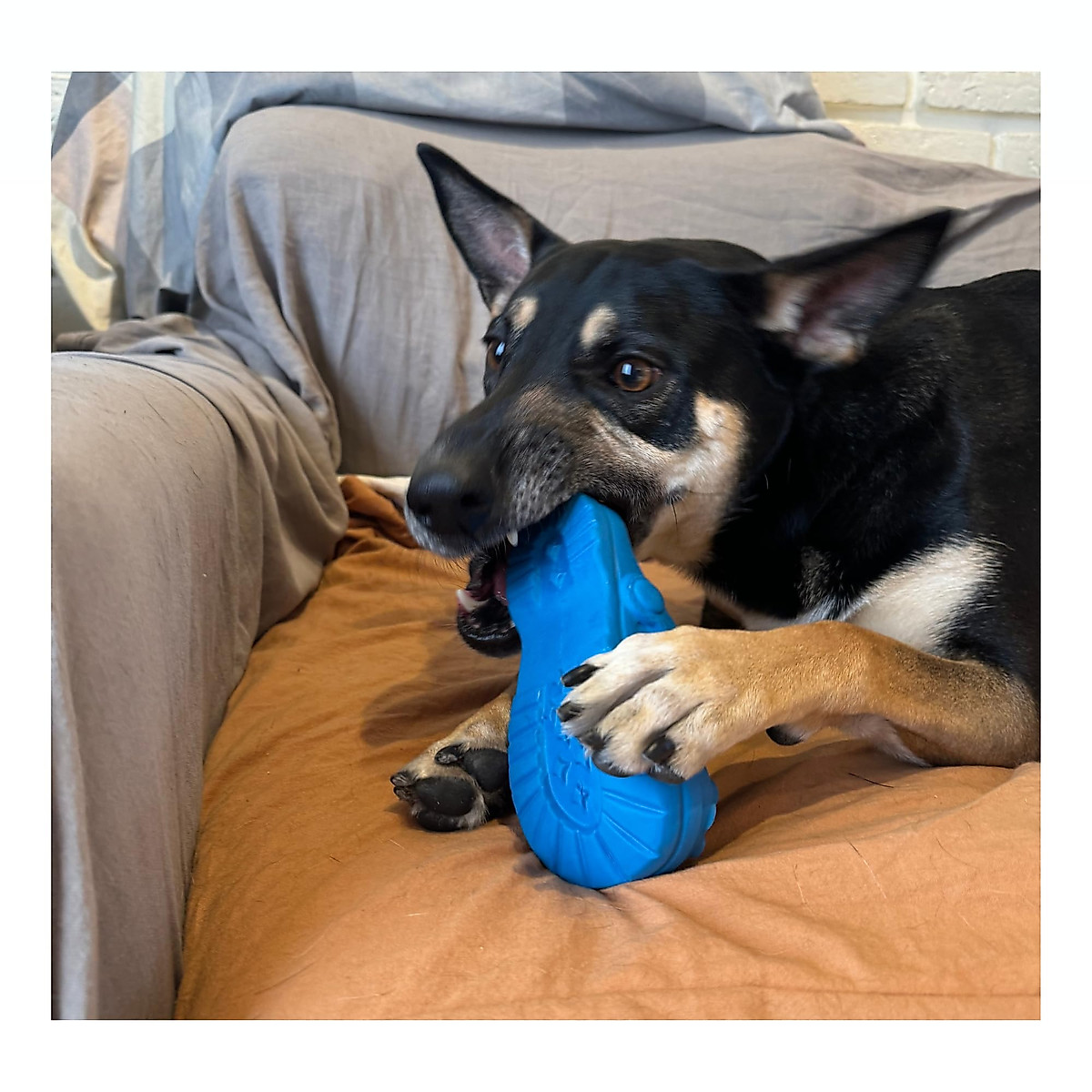 GALAPETGP: Dog Chew Toys. for Aggressive Chewers. Ultra Durable Squeaky Dog Toys. Heavy Duty Chew Toys for Medium & Large Dogs. Includes Free Lint Remover (Green)