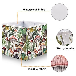 Haskirky Wild Mushroom Foldable Collapsible Storage Box Bins,11x11x11 Inch Cubes Baskets Fabric Storage Bins with Handles for Shelves Nursery Closet Home Decor