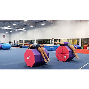 Tumbl Trak Octagon Tumbler, 20in x 20in x 28in, Bright Pastel