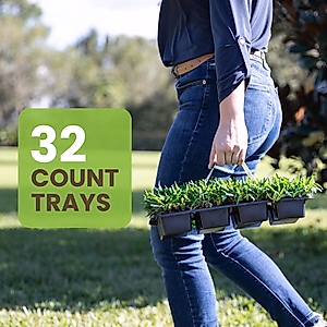 Cannot Ship to California/AZ SodPods® St Augustine Floratam Grass Plugs (32-Count) Natural, Affordable Lawn Improvement