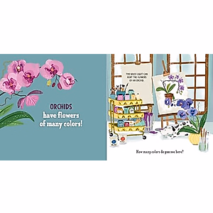 My First Book of Houseplants: Helping Babies and Toddlers Connect to the Natural World from the Intimacy of Home. Promotes a Love for Plants and the Environment. (Terra Babies at Home)