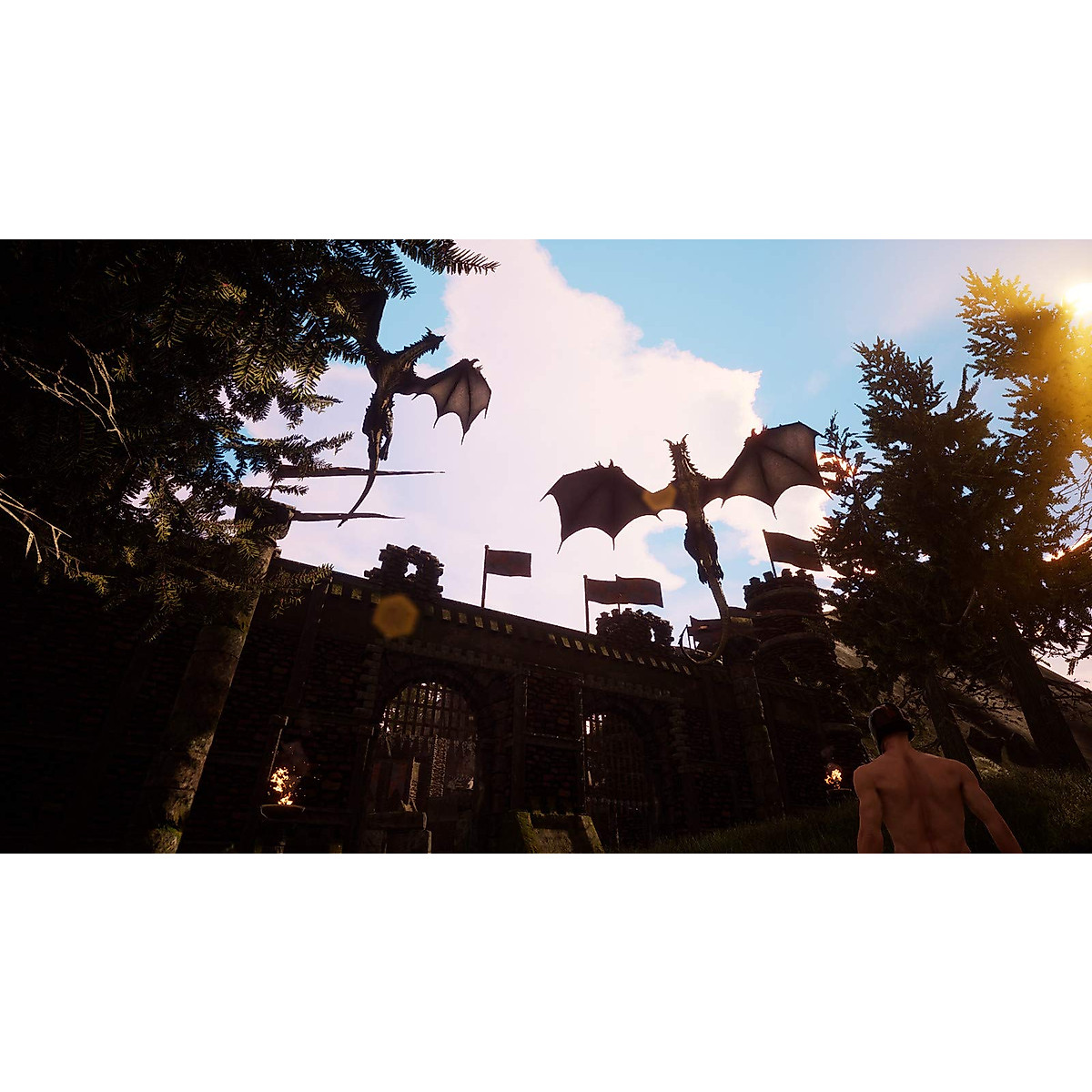 Citadel: Forged with Fire (PS4)