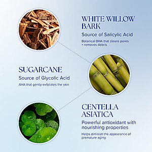 iS CLINICAL Cleansing Complex, 3in1 Gentle deep pore cleanser Face Wash and Makeup remover, Helps blemish-prone skin