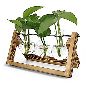 Plant Propagation Station,Plant Terrarium with Wooden Stand Desktop Air Propogation Planters Glass Vase for Indoor Hydroponics Water Plants Home Garden Office Decoration