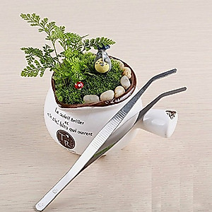 GDGY 5pcs 17cm Stainless Steel Curved Forceps Tweezers for DIY Bonsai Micro Landscape Plant Gardening Tools