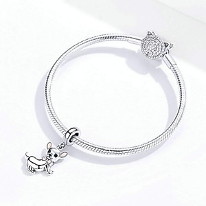 Chihuahua Dog Charm 925 Sterling Silver Dinosaur Charm Spider charm Cat Charm Animal Charm Dolphin Charm Mouse Charm for Pandora Charm Bracelet (Chihuahua)