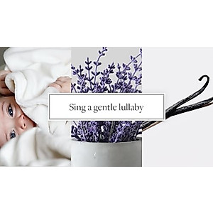 Aera The Laundress Baby Home Fragrance Scent Refill - Notes of Lavender, Vanilla and Powder - Works with The Aera Diffuser