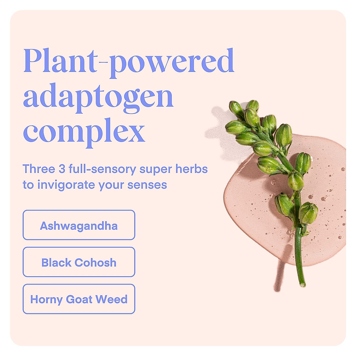 Playground Date Night, Water-Based Personal Lubricant with Naural Ingredients, Safe to Use with Latex Condoms, Lube for Men, Women, and Couples, Champagne & Vanilla Scent, 3.7 Fl. Oz.