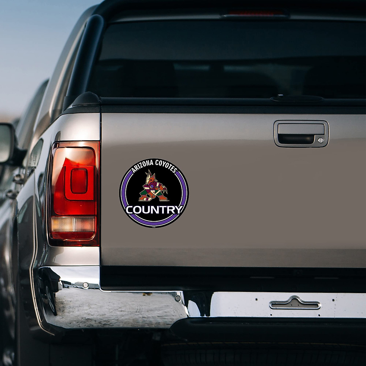 Rico Industries NFL Dallas Cowboys 8" Round Magnet