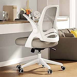 Hbada Home Office Chair Work Desk Chair Comfort Ergonomic Swivel Computer Chair with Flip-up Arms and Adjustable Height, Beige