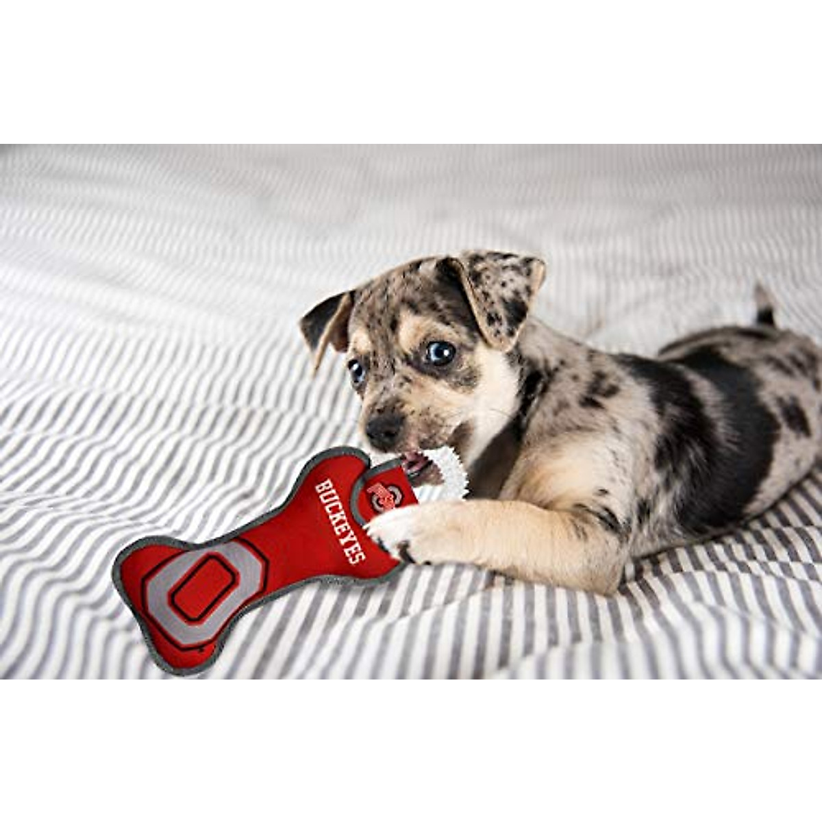 Pets First NCAA Ohio State Buckeyes Dental Dog TUG Toy with Squeaker. Tough PET Toy for Healthy Fun, Teething & Cleaning Pet's Teeth & Gum. (OH-3310)