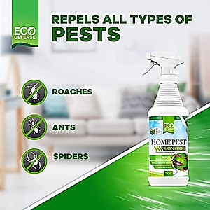 Eco Defense USDA Biobased Pest Control Spray - Ant, Roach, Spider, Bug Killer and Repellent - Natural Indoor & Outdoor Bug Spray - Child & Pet Friendly