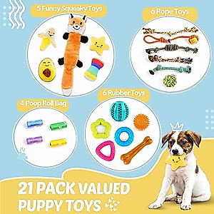 LOYEE Puppy Toys 21 Pack, Small Dog Chew Toys with Rope Toys for Teething Pet Cute Squeak Toy with Treating Ball for Puppy, Small Dogs