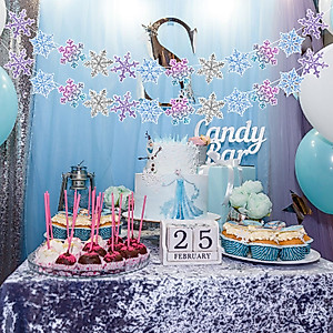 TaoBary 2 Pack Frozen Snowflake Banner Garland Frozen Birthday Party Decorations Winter Snowflake Banners Blue Purple Silver Glitter Snowflake Garland for Wonderland Baby Shower Decorations