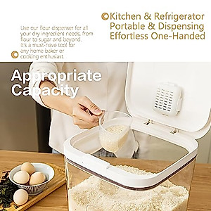 LivLab Flour Container 20LBS - 10 L /10.5 QT /10 KG - Rice Container Storage Food Grain Container Bins Household for Kitchen Pantry Organization (11L)