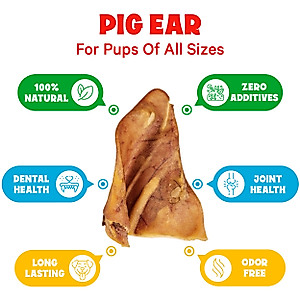 FETCHERONI Whole Pig Ears for German Shepherd Dogs Large - 19 Pack Long Lasting Dog Chews – Dog Treats One Ingredient Delicious All Natural Flavor – Easy to Digest Dog Treats for Large Dog