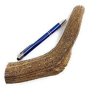 Elk Antlers for Dogs - Grade A, Naturally Shed Antlers | Long Lasting Dog Bones for Aggressive Chewers & Teething Puppies | All Breeds Chew Toy USA Made & Veteran Owned | Large: 7" Whole Elk, 1-Pack