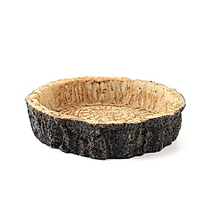 CalPalmy 2 Pack Reptile Food Bowls - Reptile Water and Food Bowls, Novelty Food Bowl for Lizards, Young Bearded Dragons, Small Snakes and More - Made from BPA-Free Plastic