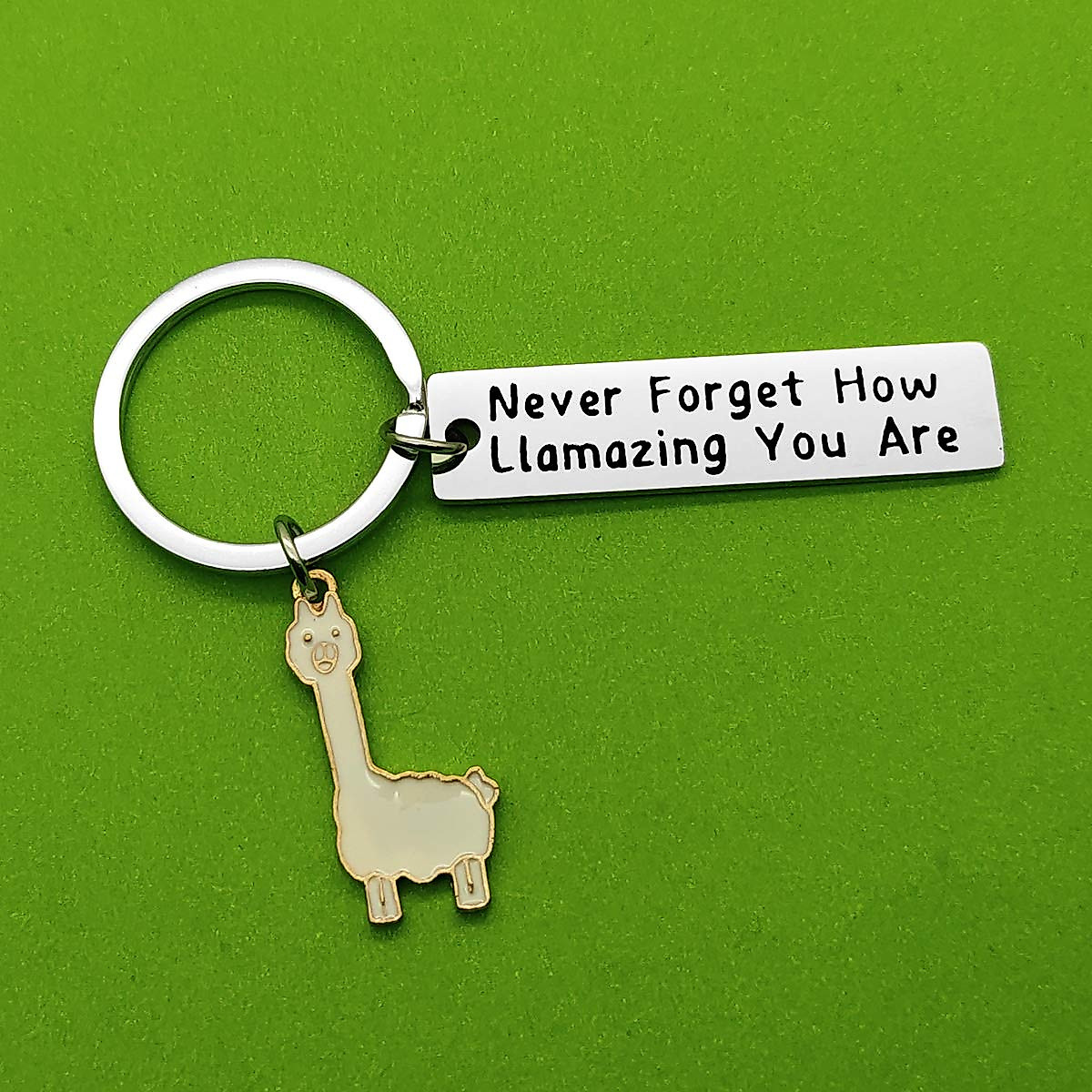 Baipilu Llama Keychain Llama Gift Never Forget How Llamazing You are Keychain for Women Alpaca Gifts Animal Lover Gift Inspiring Inspired Motivational Keychains for Women,birthday gift for friends