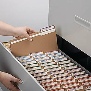 Smead File Folder, Reinforced 1/3-Cut Tab, Letter Size, Kraft, 100 Per Box (10734)