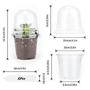 KINGLAKE 32 Pcs 4" Clear Plastic Plants Nursery Pots with Humidity Dome Seedlings Flower Plant Container Seed Starting Pots with 10 Pcs Plant Labels