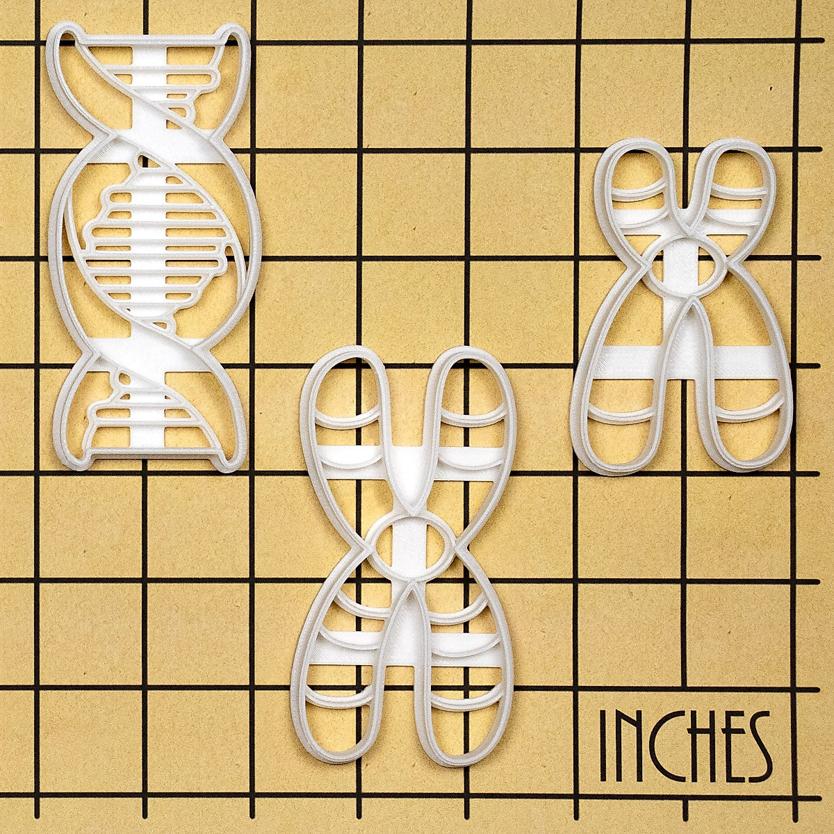 Set of 3 DNA themed cookie cutters (Designs: DNA, Chromosome and Chromosome Y), 3 pieces - Bakerlogy