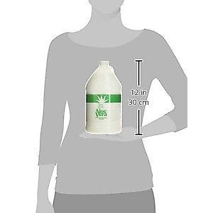 TRIPLE LANOLIN Aloe Vera Lotion,1 Gallon