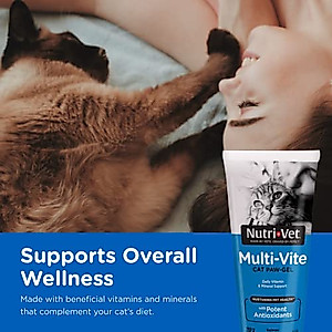 Nutri-Vet Multi-Vite Multivitamin Paw Gel for Cats - Daily Vitamin and Mineral Support - Salmon Flavor - 3 oz
