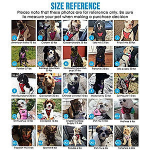 SlowTon Dog Seat Belt Car Harness Set - Adjustable Dog Seatbelt with Carabiner for Most Cars, Breathable Dog Vest Harness Padded with Car Safety Leash for Small Medium Large Dogs Puppy Cats(Red M)