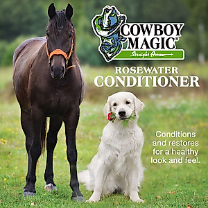 Cowboy Magic Shampoo + Conditioner 32 Ounce Bottles Detangler and Shine 4oz
