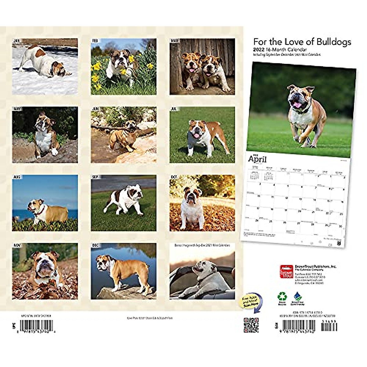 For the Love of Bulldogs 2022 14 x 12 Inch Monthly Deluxe Wall Calendar with Foil Stamped Cover, Animal Dog Breeds DogDays