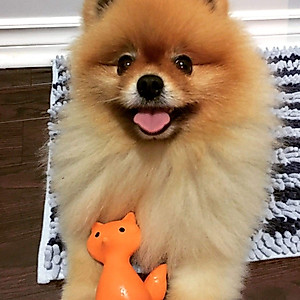 FOUFIT 85645 Zoo Chew Latex Toy for Dogs, Fox, 5"