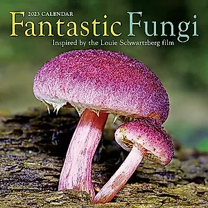 Fantastic Fungi Wall Calendar 2023: For Mycologists, Artists, Foodies, Ecologists, Doctors, and Explorers